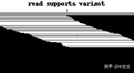DeepVariant的安装和使用 - 知乎