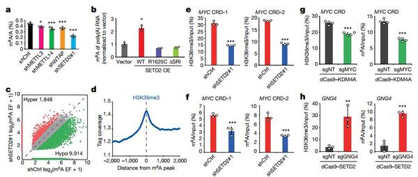 何川等2篇Nature揭示mRNA m6A修饰详细调控机制 - 知乎