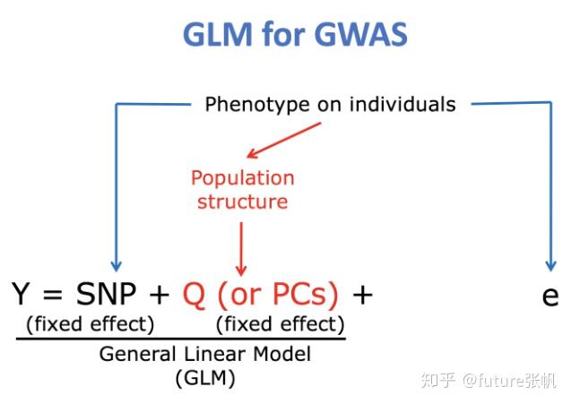 利用GAPIT进行gwas和gs分析（附带方法介绍） - 知乎
