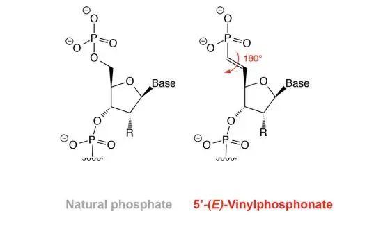 一文了解如何实现siRNA的5’末端磷酸化修饰 - 知乎