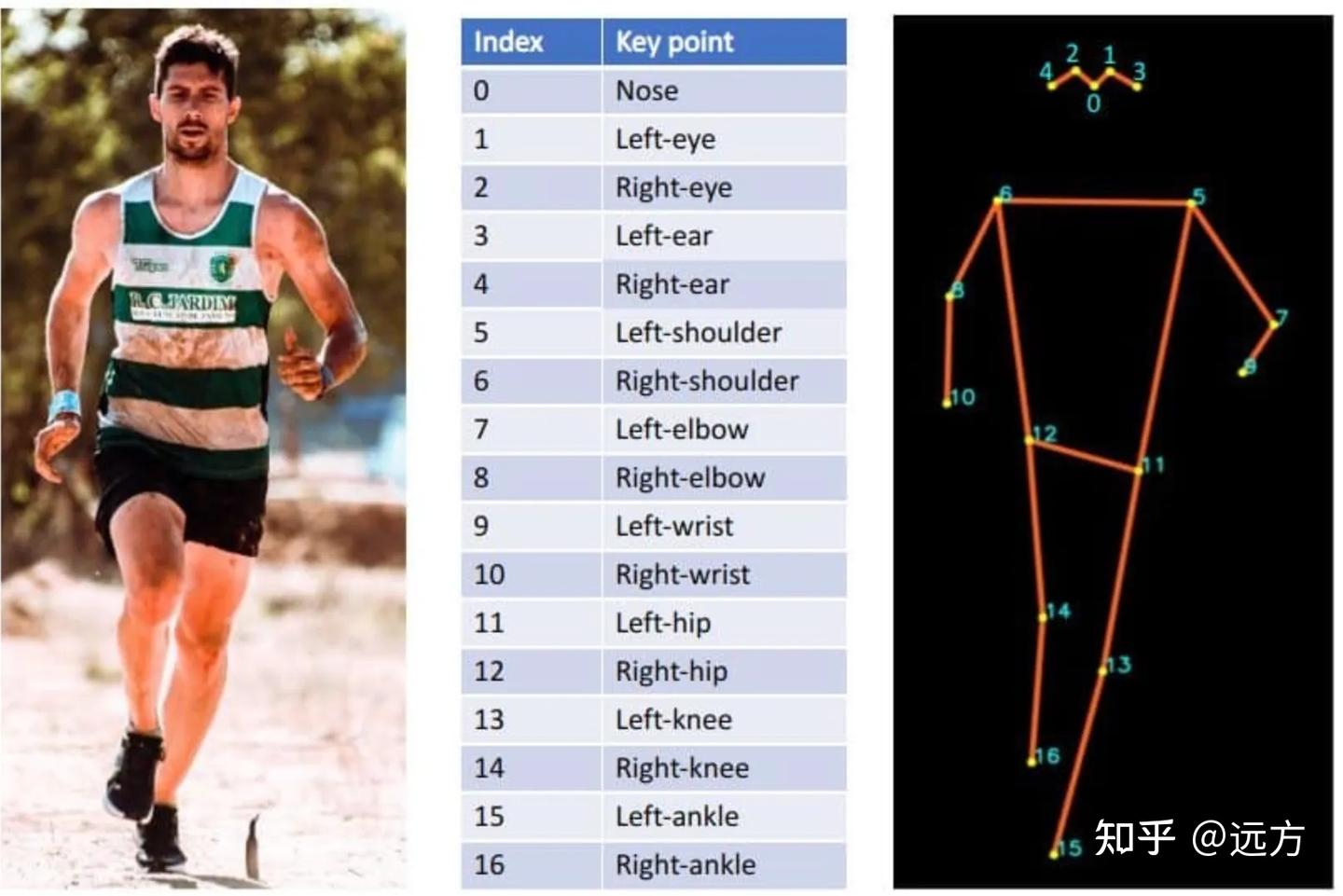 yolov8-pose姿态识别与板端部署实践 - 知乎