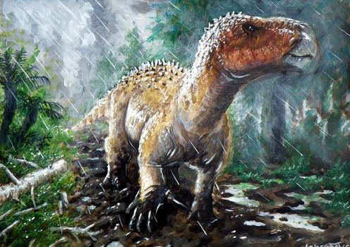 地质年代细分时间，标志，及各阶代表生物：早白垩纪，阿普第期——阿尔布期 - 知乎