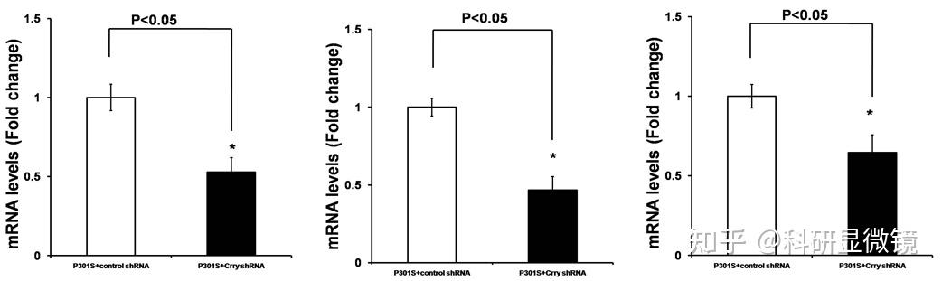 手把手教你用 Graphpad 玩转t检验！实现SCI统计配图自由 - 知乎