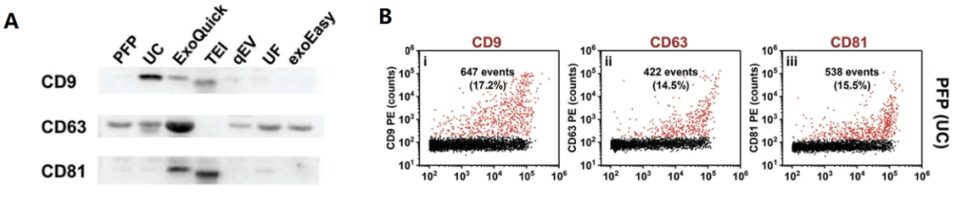 从MISEV2023中寻找外泌体标志物 WB阴性的解决方案 - 知乎