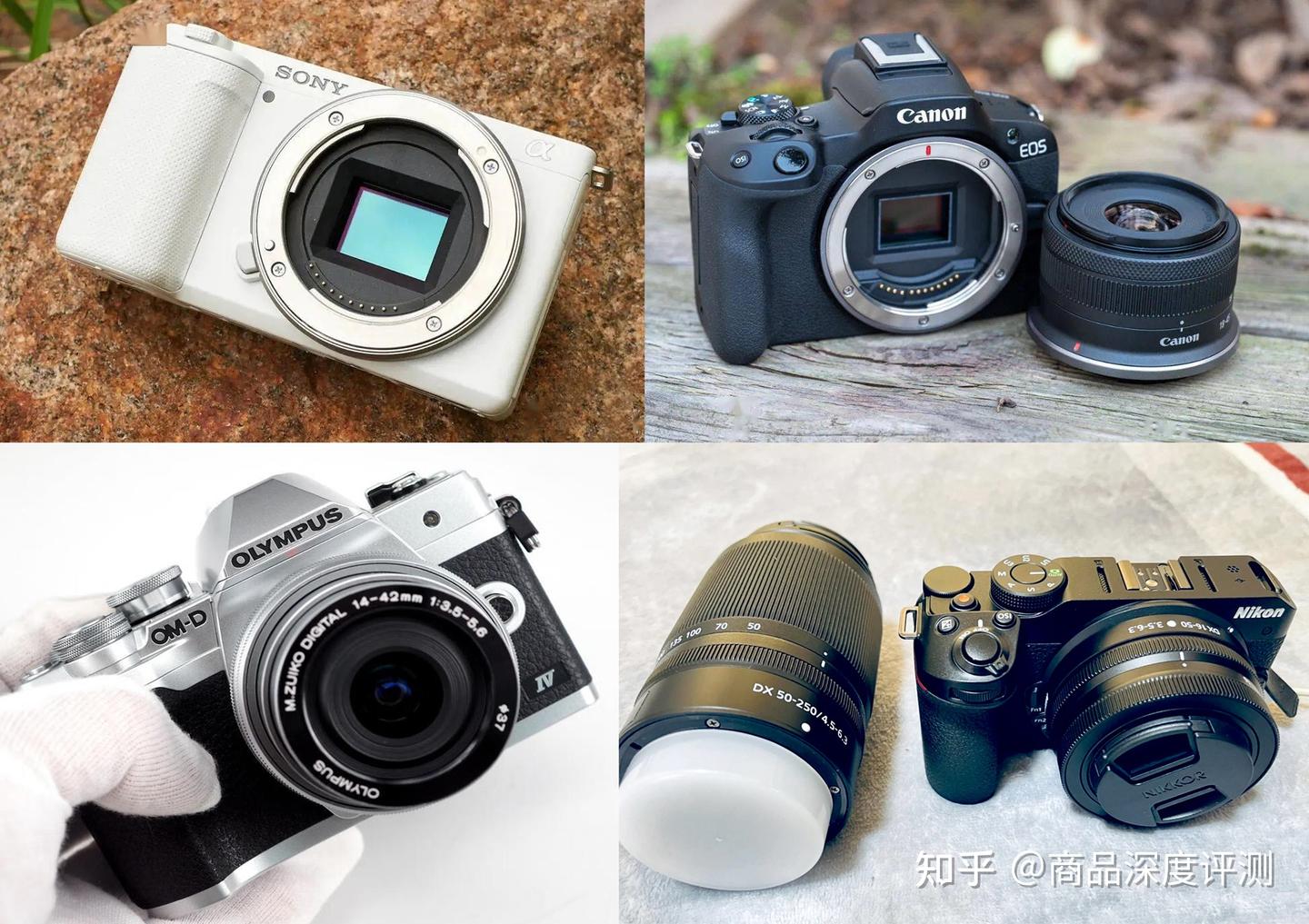 三款入门级爆款微单：索尼ZV-E10、尼康Z50和佳能R50之间如何选？