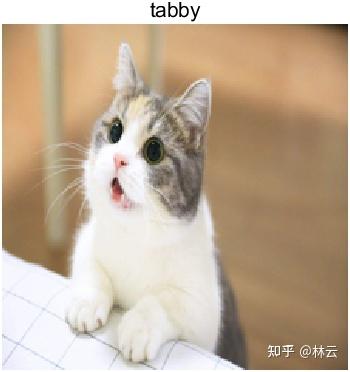 Matlab Deep Learning入门（三）——GoogleNet图像分类 - 知乎