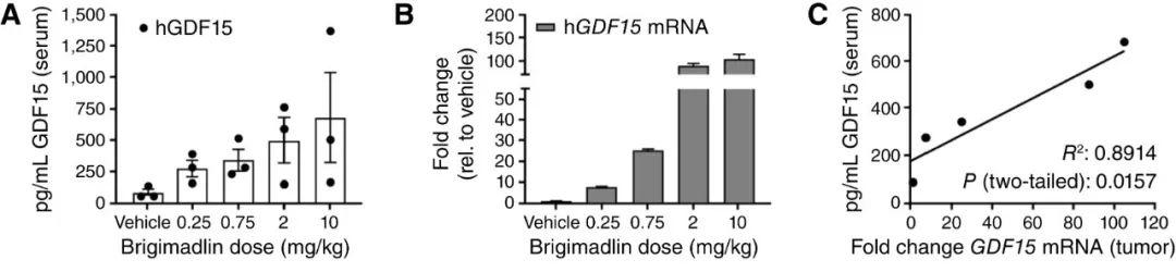 【Mol Cancer Ther】勃林格殷格翰新型 MDM2-p53 拮抗剂Brigimadlin 的发现和表征 - 知乎