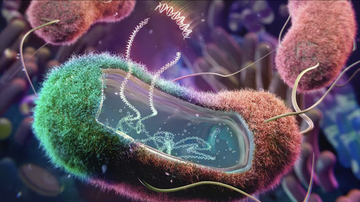 Science | 可编程的工程化细菌检测肿瘤DNA - 知乎