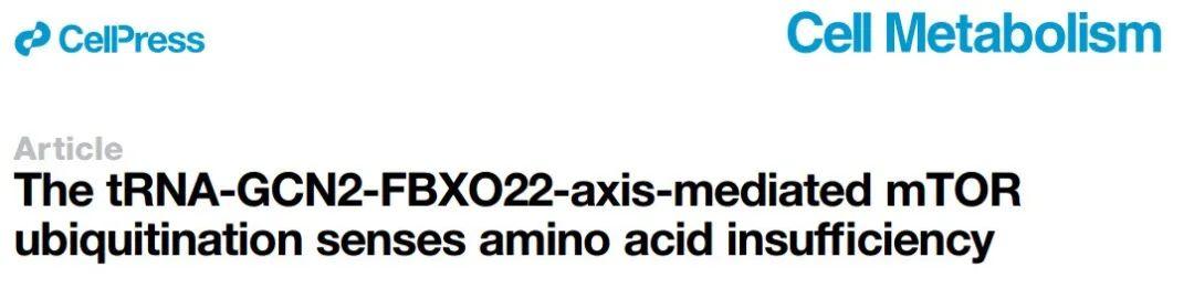 Cell Metab | mTORC1泛素化介导氨基酸感应的普适性机制 - 知乎