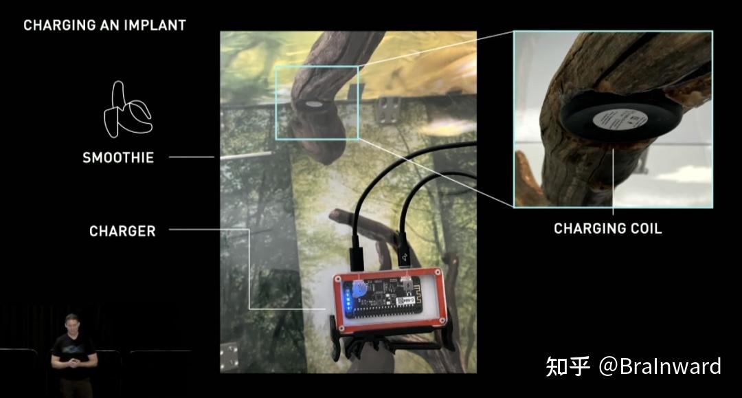 解密马斯克「Neuralink」2022最新进展，一文带你深入了解 - 知乎