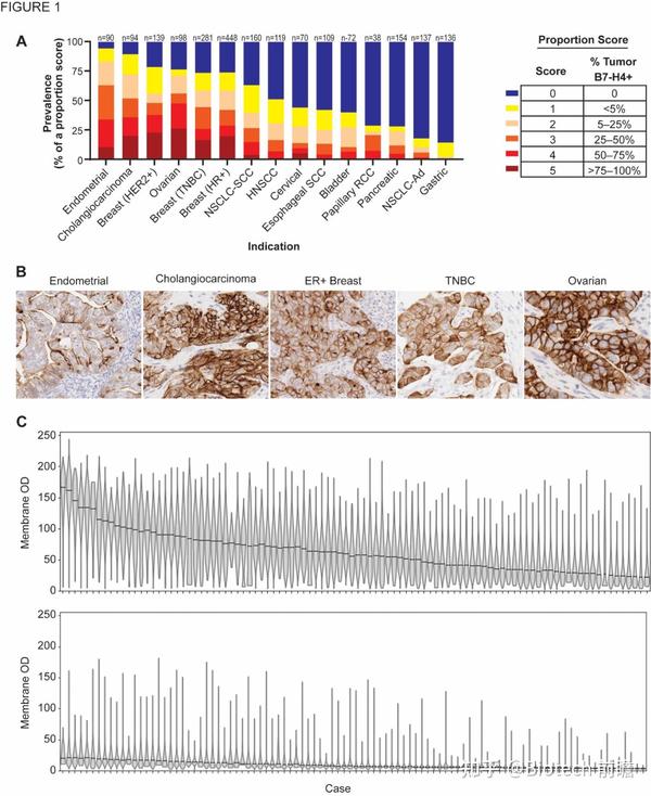ADC赛道全速狂飙的AZ丨汇总DS-8201临床研究及下一代布局 - 知乎