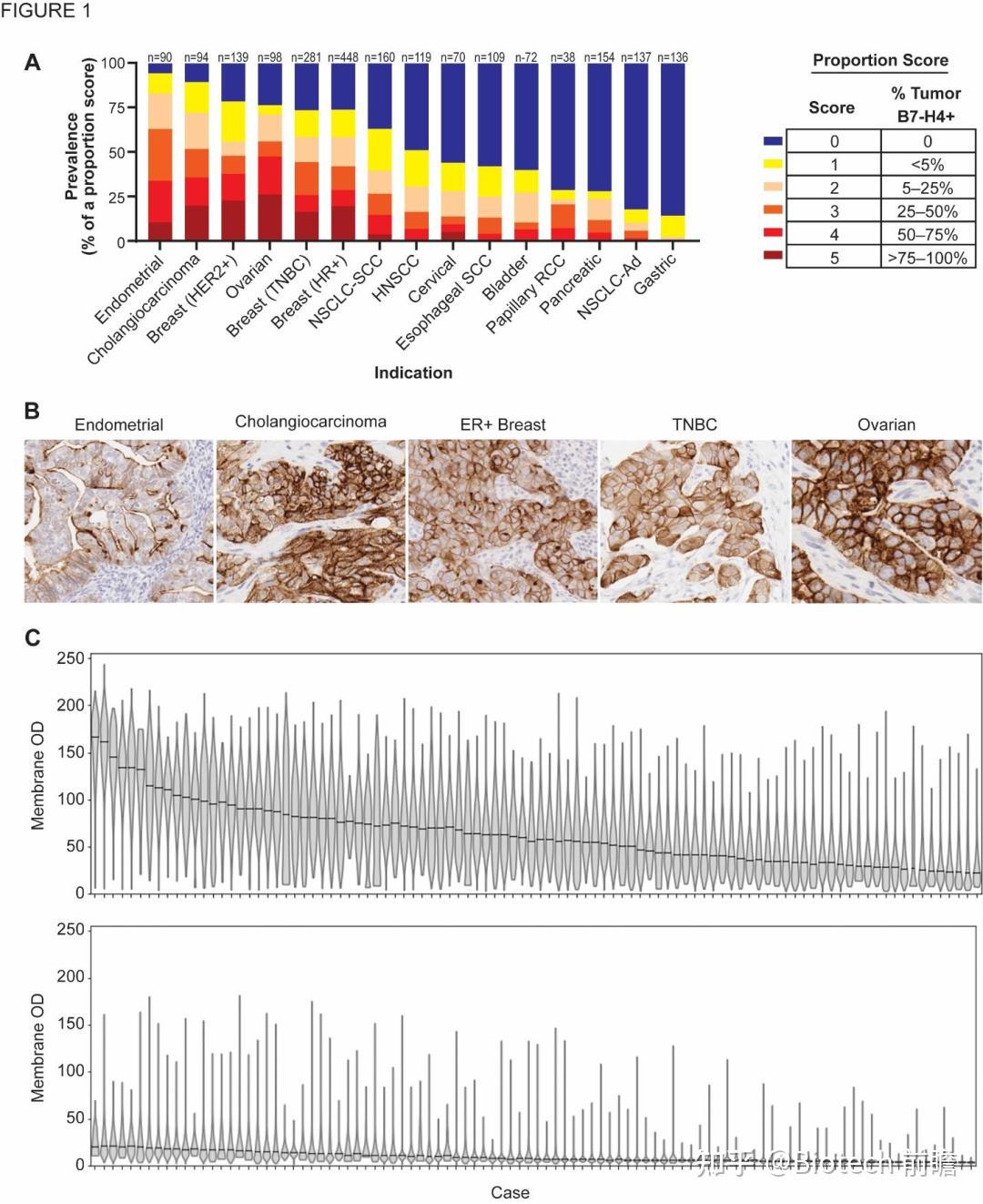 ADC赛道全速狂飙的AZ丨汇总DS-8201临床研究及下一代布局 - 知乎