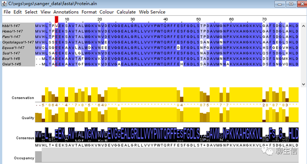 Jalview | 多序列比对图中显示序列标识 - 知乎