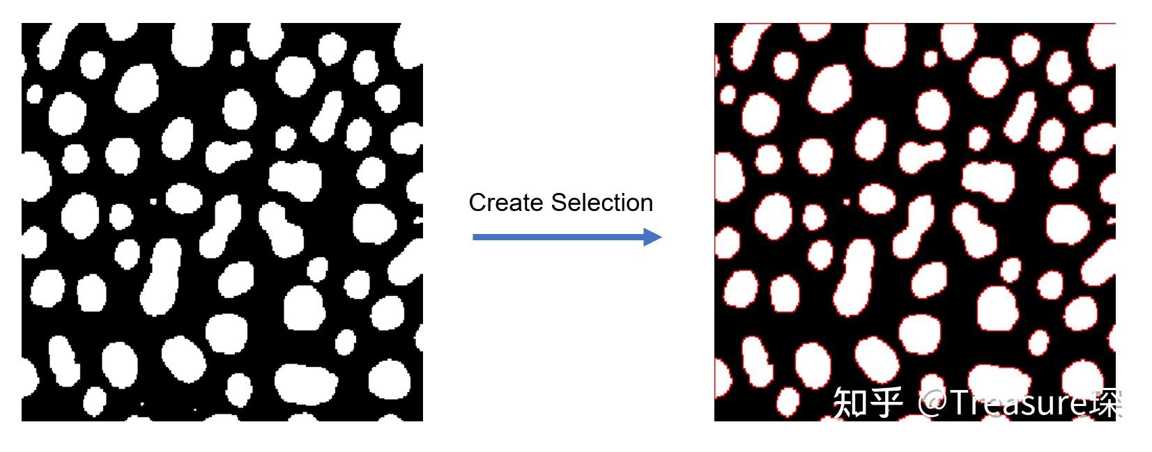 ImageJ实用教程——创建透明选取区(基础功能篇) - 知乎