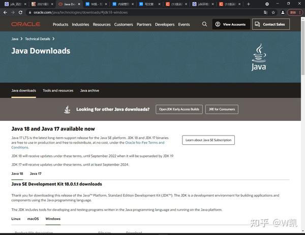全网最细最新win11 java环境变量的配置 - 知乎
