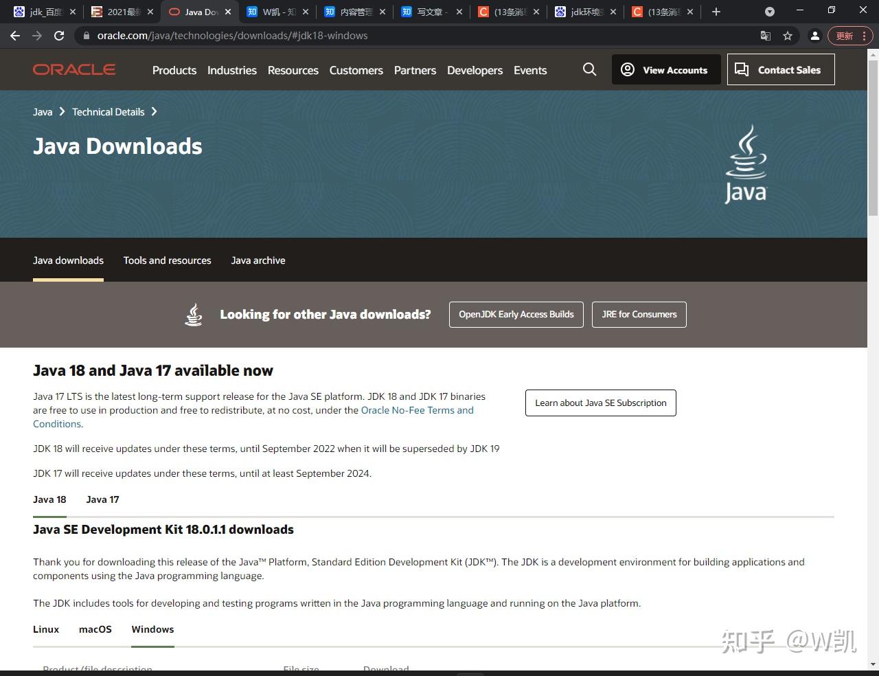 全网最细最新win11 java环境变量的配置 - 知乎