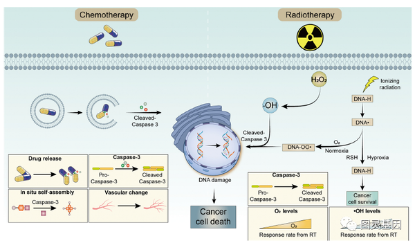 Che Soc Rev |北京大学应用纳米探针分子成像于肿瘤患者分层 - 知乎