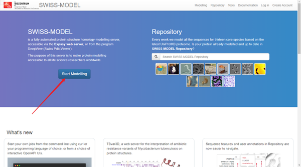 分子模拟第一弹——基于SWISS-MODEL的蛋白三维结构预测 - 知乎