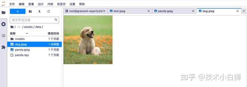使用 Segment Anything 模型进行图像分割教程 - 知乎