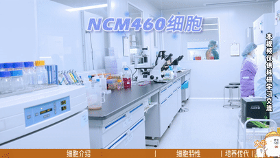 NCM460细胞培养，人正常肠上皮细胞培养攻略 - 丰晖生物 - 知乎