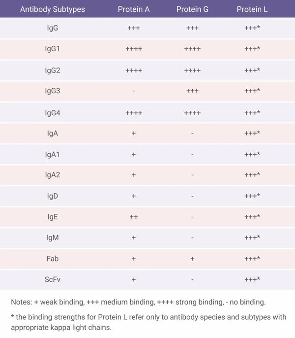 蛋白纯化-实验设计 | MedChemExpress - 知乎