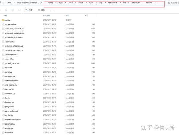 【Linux】Neovim框架—AstroNvim初识 - 知乎