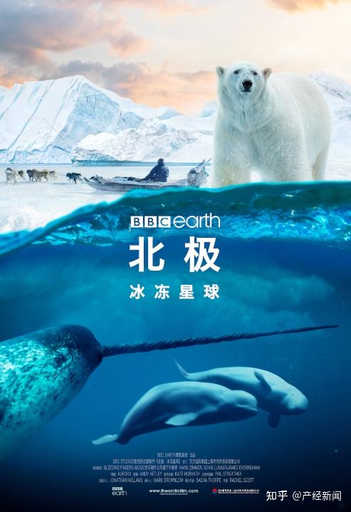 BBC Earth全新巨幕影片《北极：冰冻星球》 揭幕第十三届北京国际电影节科技单元 - 知乎