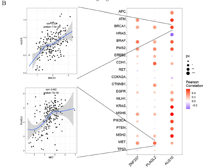 放疗抵抗方向，生物标志物筛选+GWAS等多组学分析+预后分析=8分+纯生信，性价比简直太高了！ - 知乎