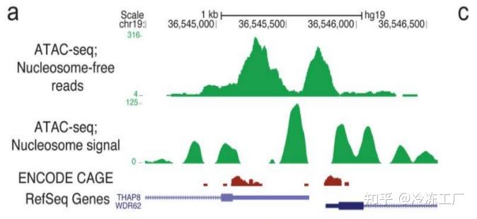 ATAC-seq分析：TSS 信号（7） - 知乎