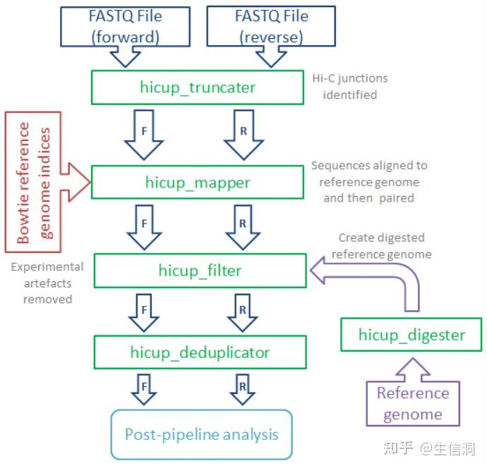 HiCUP对HiC数据进行预处理 - 知乎