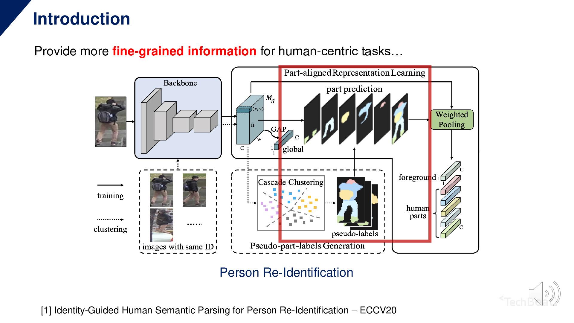 Talk | CVPR'21 Oral一作周天飞: 可微多粒度人体解析 - 知乎