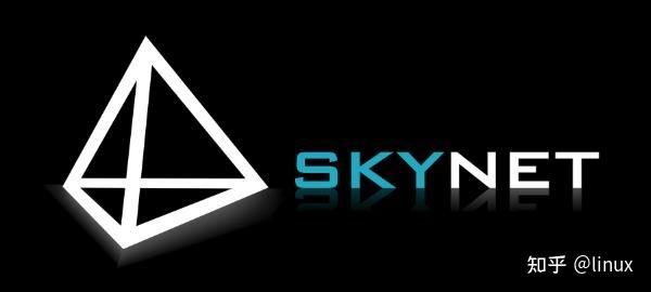 手把手教你从零跑一个Skynet，详细教程，含案例讲解 - 知乎