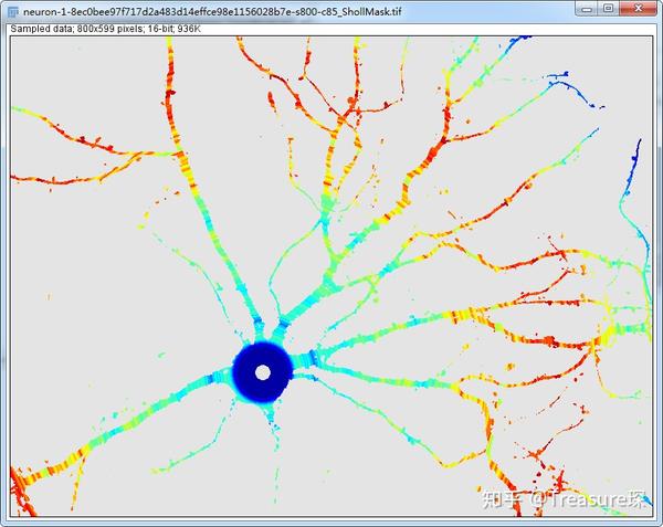 ImageJ实用技巧——Sholl Analysis（二）(插件篇) - 知乎