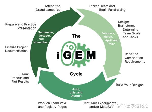 iGEM全球金奖备赛经验分享：竞赛介绍/申请含金量/备赛网站学习资源 - 知乎
