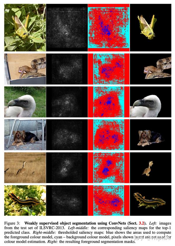 显著图：Saliency Map 详解 - 知乎