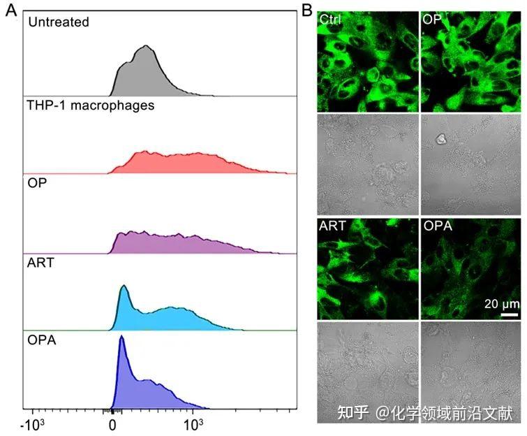 南京大学郭子建院士、王晓勇教授Angew.：以TREM2为靶标的铂类抗癌配合物通过重塑肿瘤微环境提高化学免疫治疗效果 - 知乎