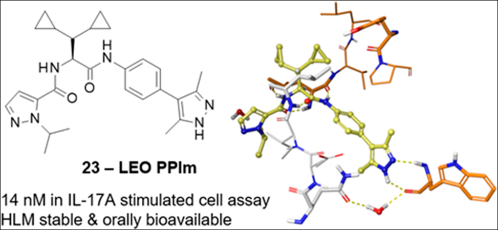 化大为小 - LEO Pharma IL-17A PPI modulator的发现 - 知乎