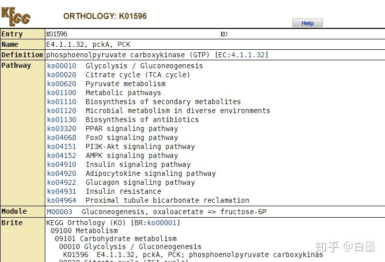 一文快速读懂 KEGG 数据库与通路图 - 知乎
