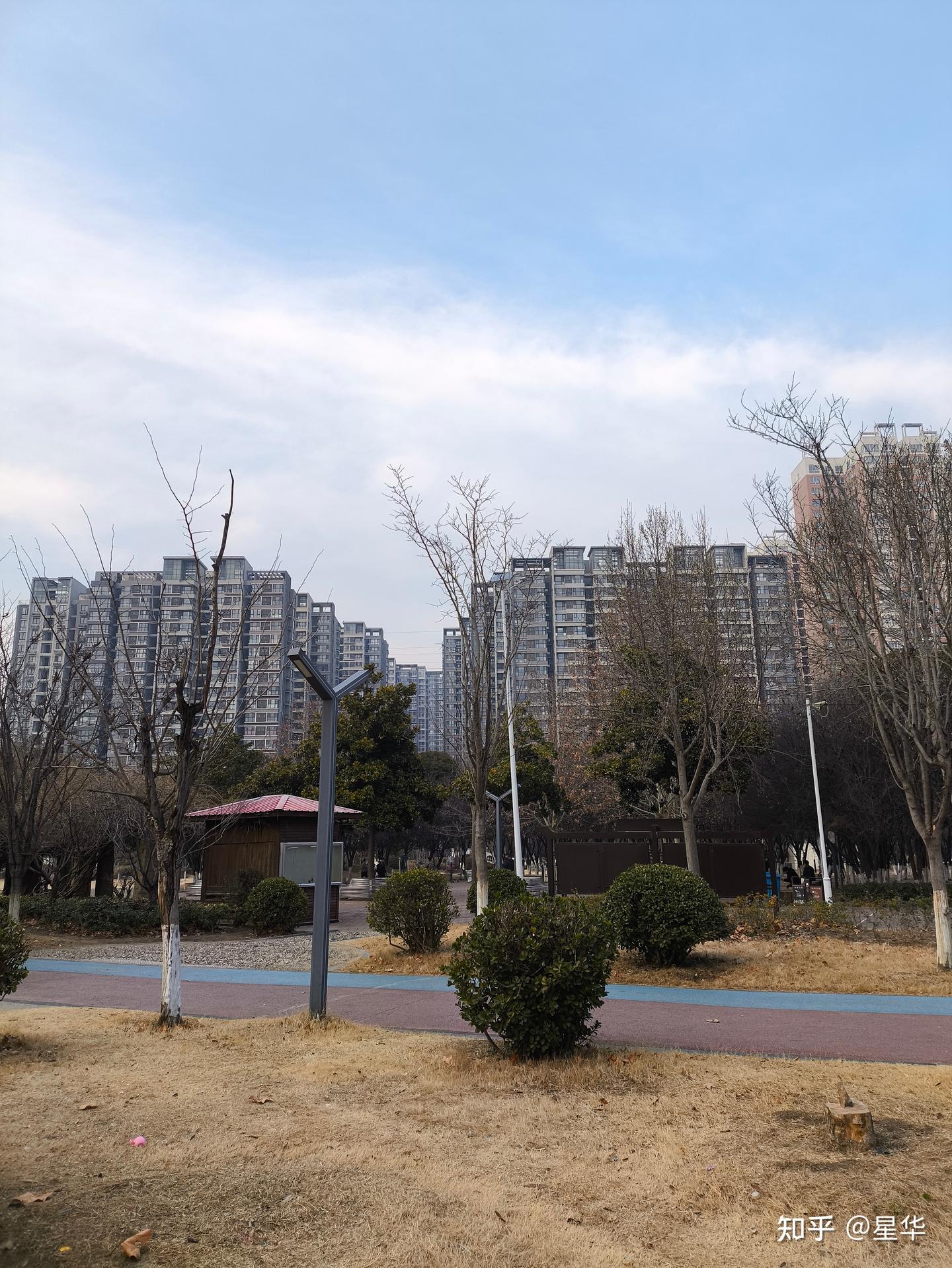 GLM-4V-Flash情感模型推出，如何训练一个图像情感分析模型 - 知乎