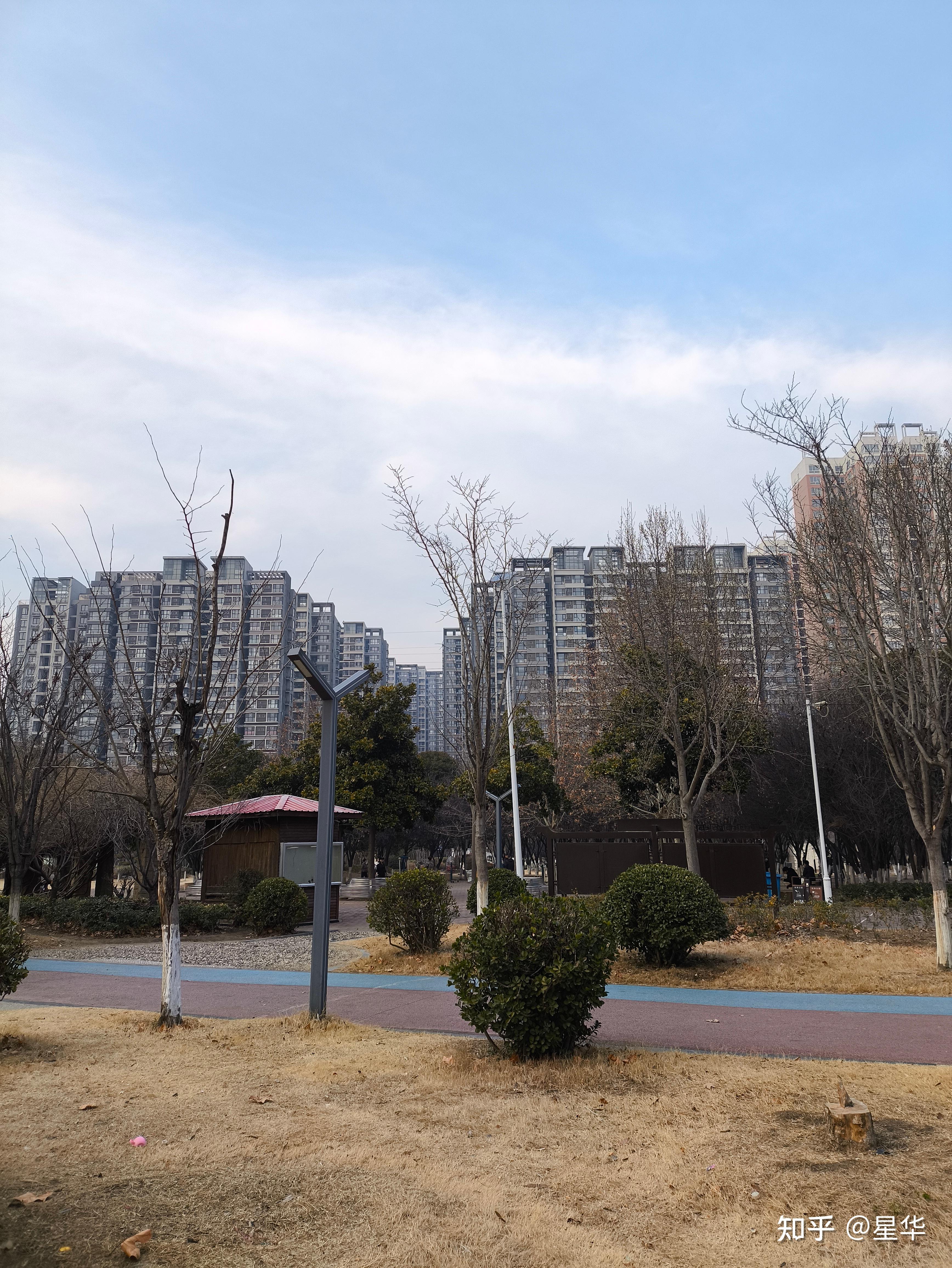 GLM-4V-Flash情感模型推出，如何训练一个图像情感分析模型 - 知乎