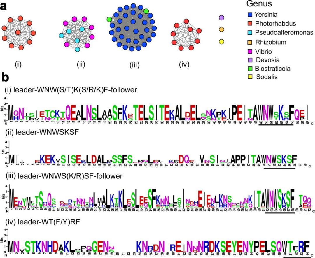 Nat Commun︱丁伟/张琪团队合作揭示超级抗生素darobactin的生物合成机制 - 知乎