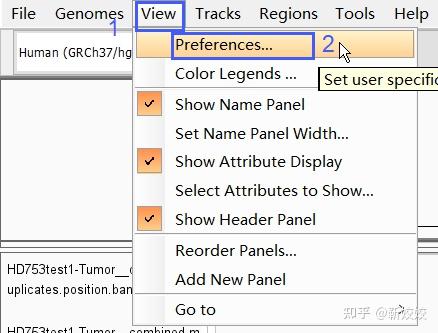 IGV快速上手指南（四）——查看基因融合 - 知乎