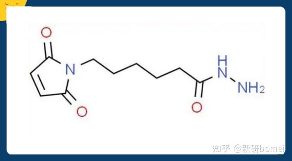 CAS：81186-33-6，6-Maleimidocaproic acid hydrazide，6马来酰己酸酰肼供应 - 知乎