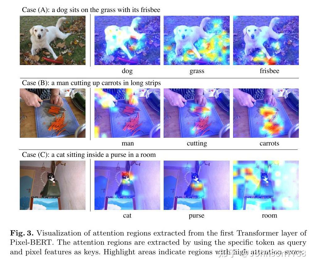 Pixel-BERT:通过深度多模态变换将图像像素与文本对齐 - 知乎