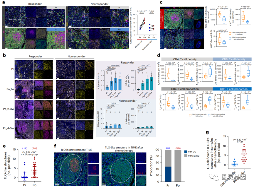 Nat Med | 中山大学柳娜团队揭示：吉西他滨联合顺铂治疗鼻咽癌后的肿瘤免疫微环境 - 知乎
