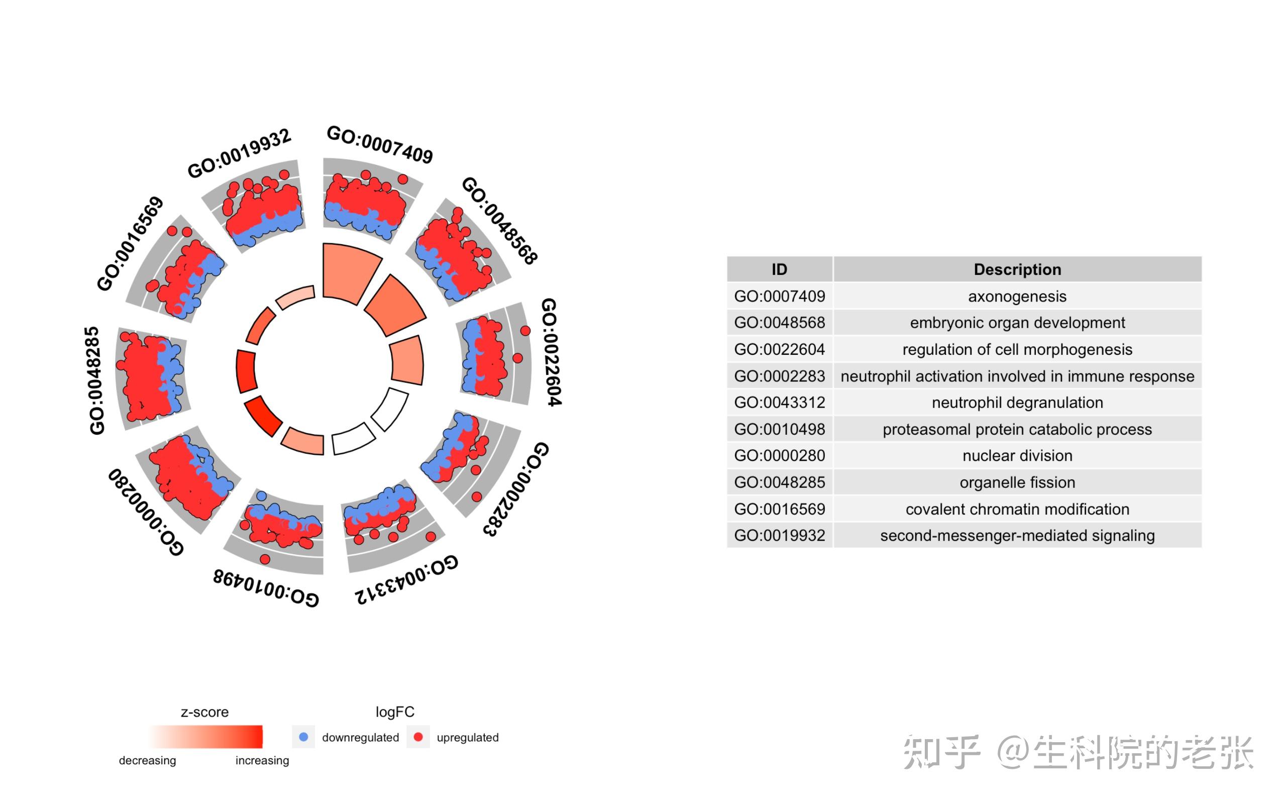 最全的GO, KEGG, GSEA分析教程(R),你要的高端可视化都在这啦！[包含富集圈图] - 知乎