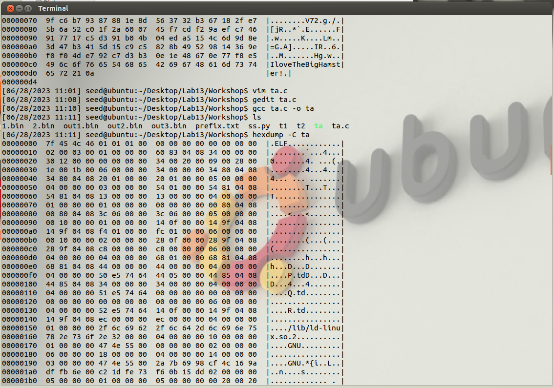 漏洞分析 Lab13 MD5 Collision Attack Lab - 知乎