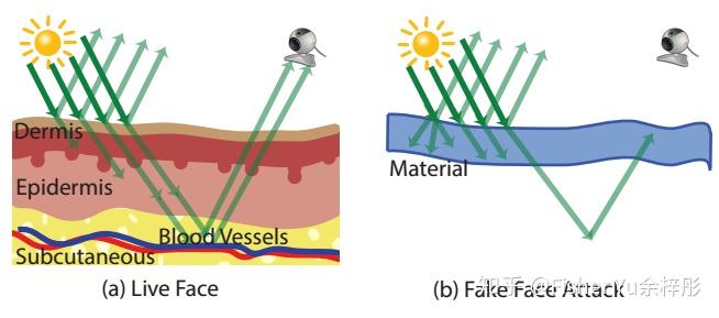 基于rPPG的人脸活体检测综述 - 知乎