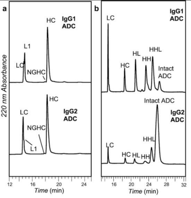 ADC药物抗体比(DAR)的表征分析方法 - 知乎