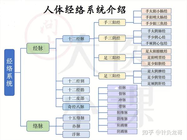 经络是什么？经络堵了会怎样？如何疏通经络？ 知乎